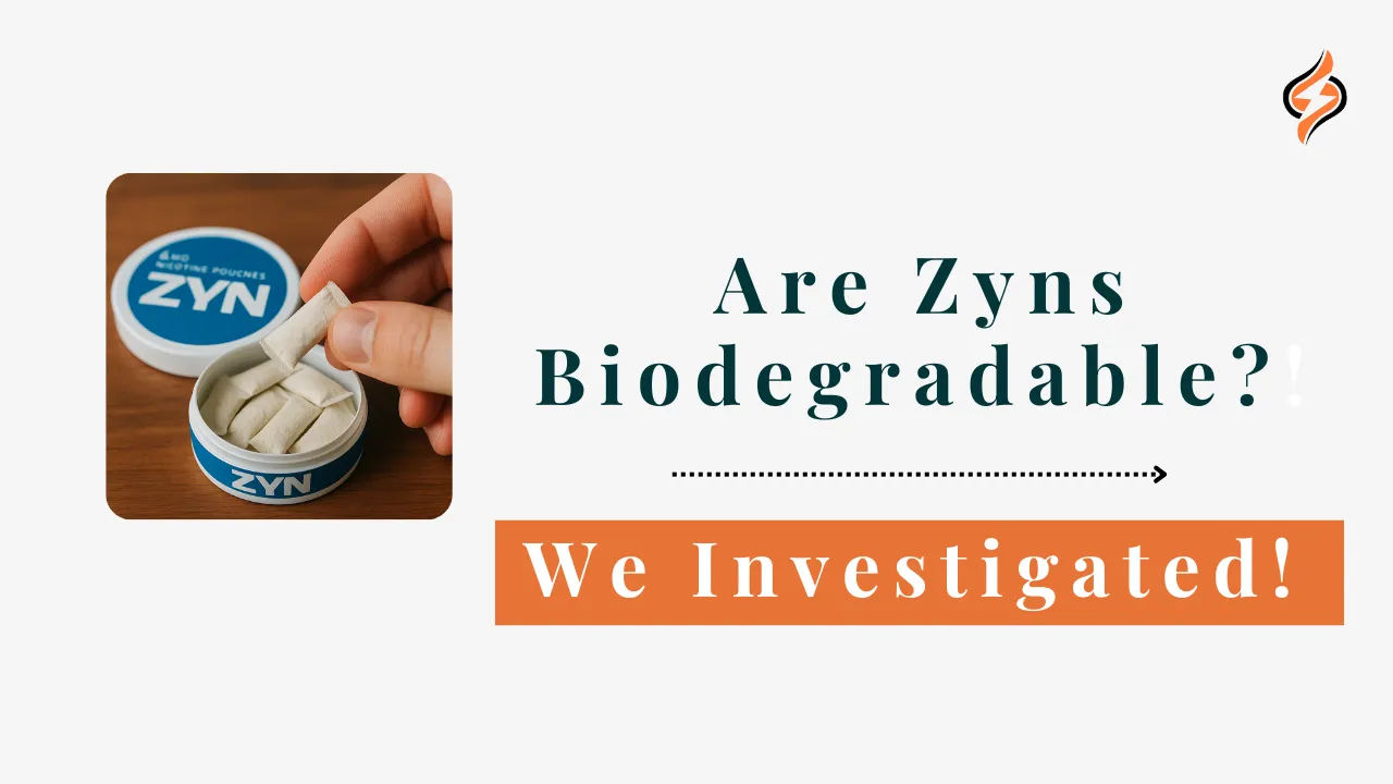 Are Zyns Biodegradable? We Investigated | Sustainoverse
